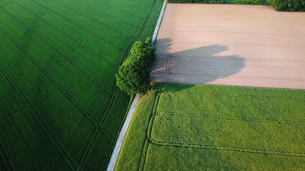 Farm 2 Fork | Agro-processing | Food Manufacturing